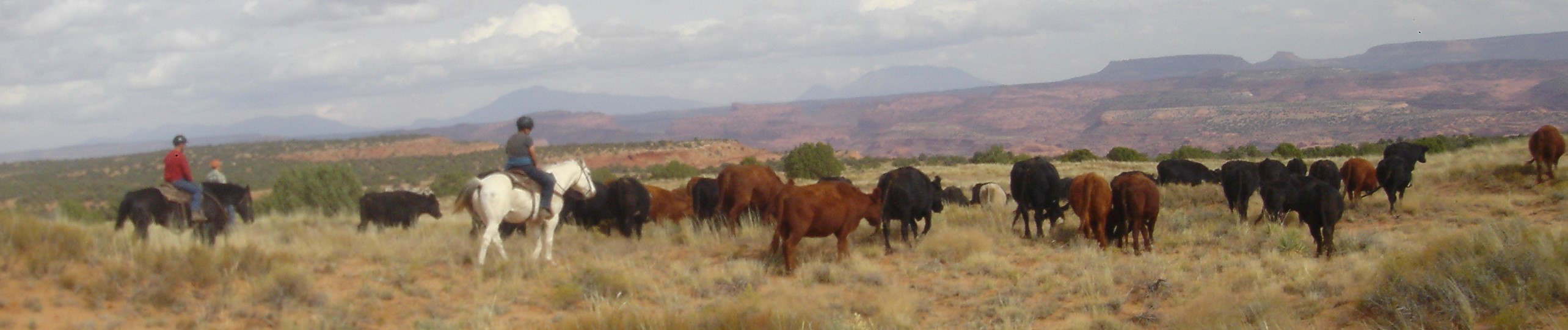 Turn-About Ranch | All Kinds of Therapy